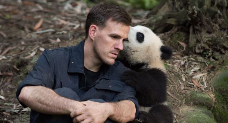 Once upon a time, a Giant Panda cub met a biologist – The Departure Lounge